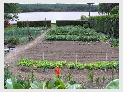 Les Français aiment leur potager