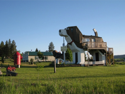 Insolite : Ils ont fait construire une maison en forme de chien