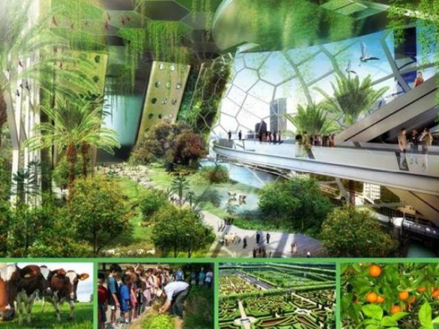 Dragonfly, une ferme "bionique" à New-York