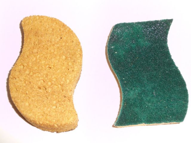 Les éponges au secours des océans - Maison à part