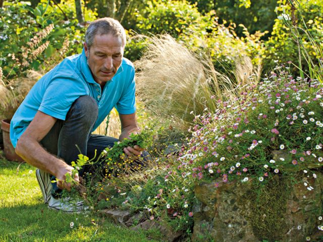 10 conseils de pro pour réussir son jardin - Maison à part